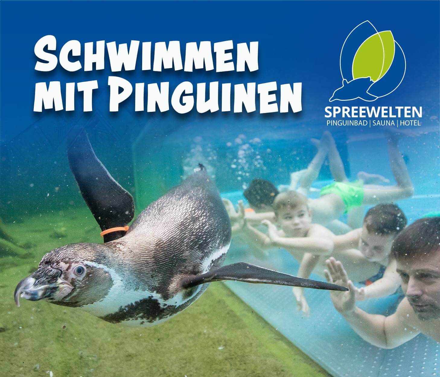- Laufkalender Sachsen
